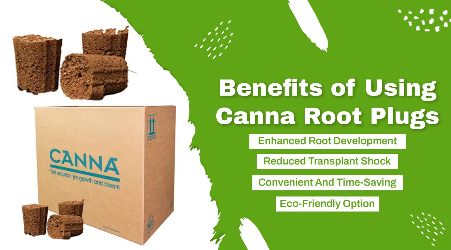 The Benefits of Canna Root Plugs: A Comprehensive Guide - Jons Plant ...