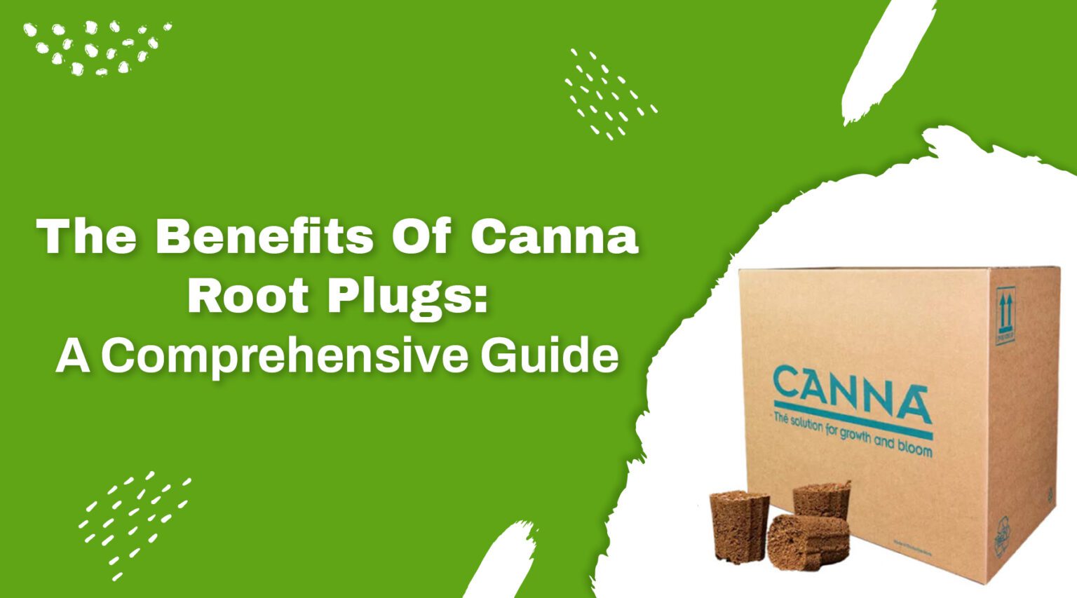 The Benefits of Canna Root Plugs: A Comprehensive Guide - Jons Plant ...