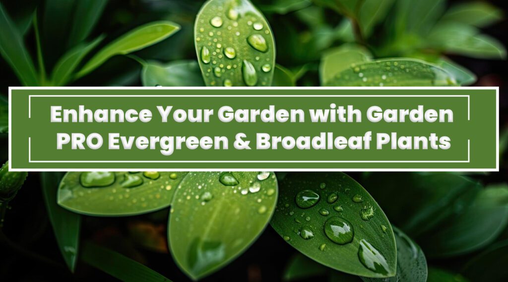 Enhance Your Garden with Garden PRO Evergreen & Broadleaf Plants - Jons ...